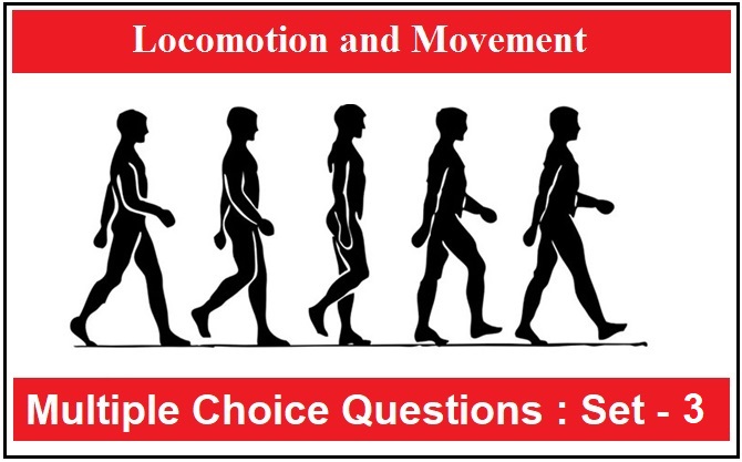 MCQ Questions Class 11 Biology Locomotion and Movement with Answers ... MCQ Questions Class 11 Biology Locomotion and Movement with Answers ...